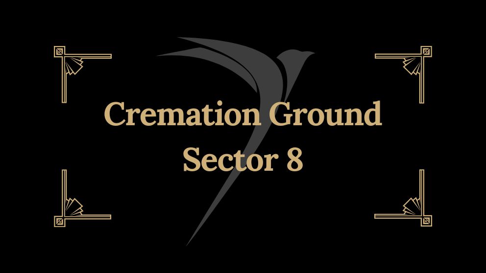 Cremation Ground, Sector 8, Faridabad - Noble Sparrows