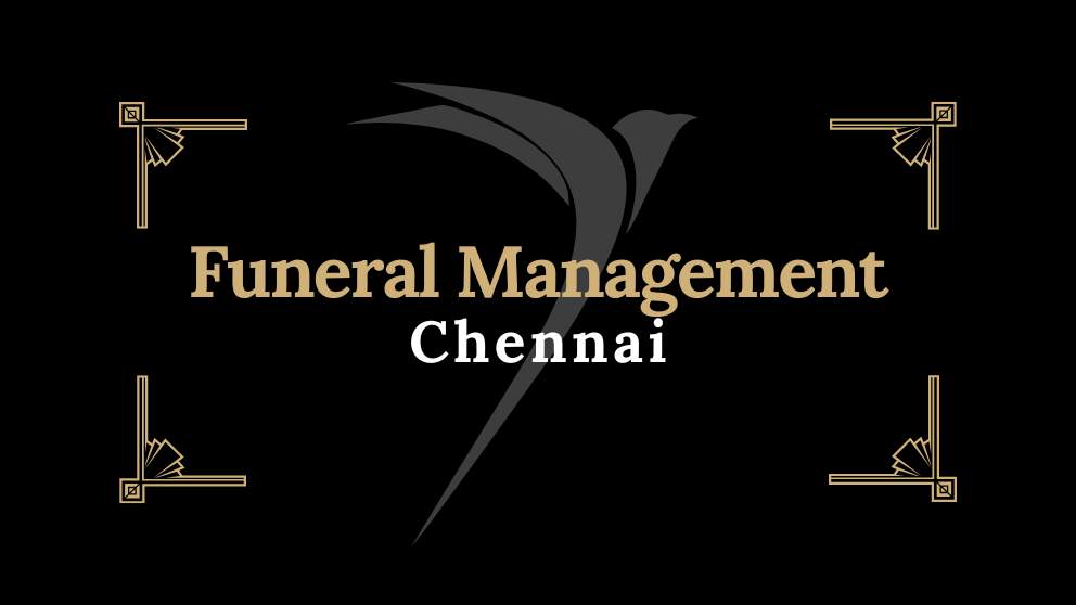 Chennai - Noble Sparrows